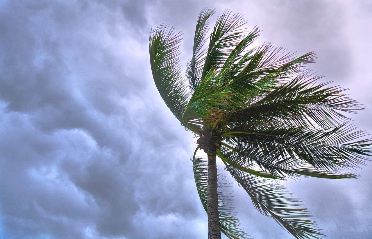Wild weather is coming - prepare and plan for severe weather conditions ...